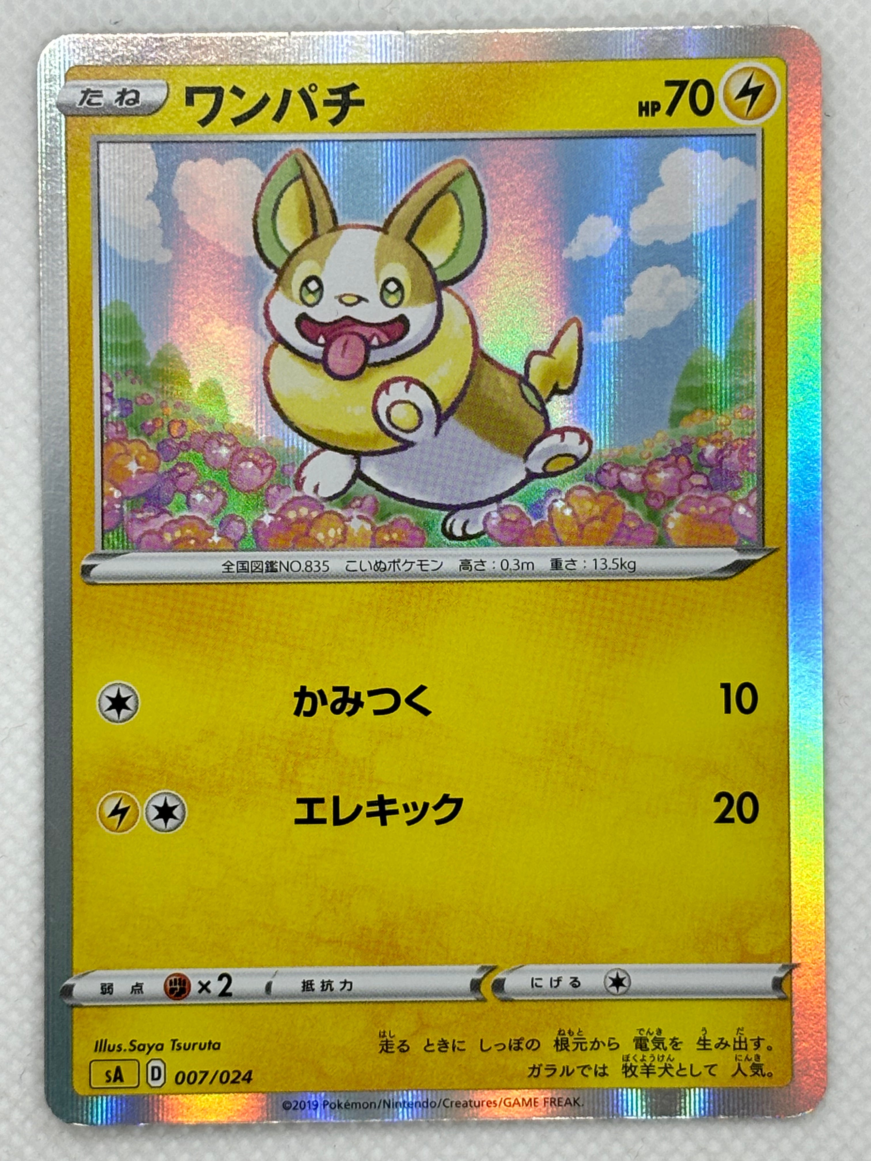 V Starter Set: Lightning - Rare Sa Pokemon Cards – Japan Pop Mart