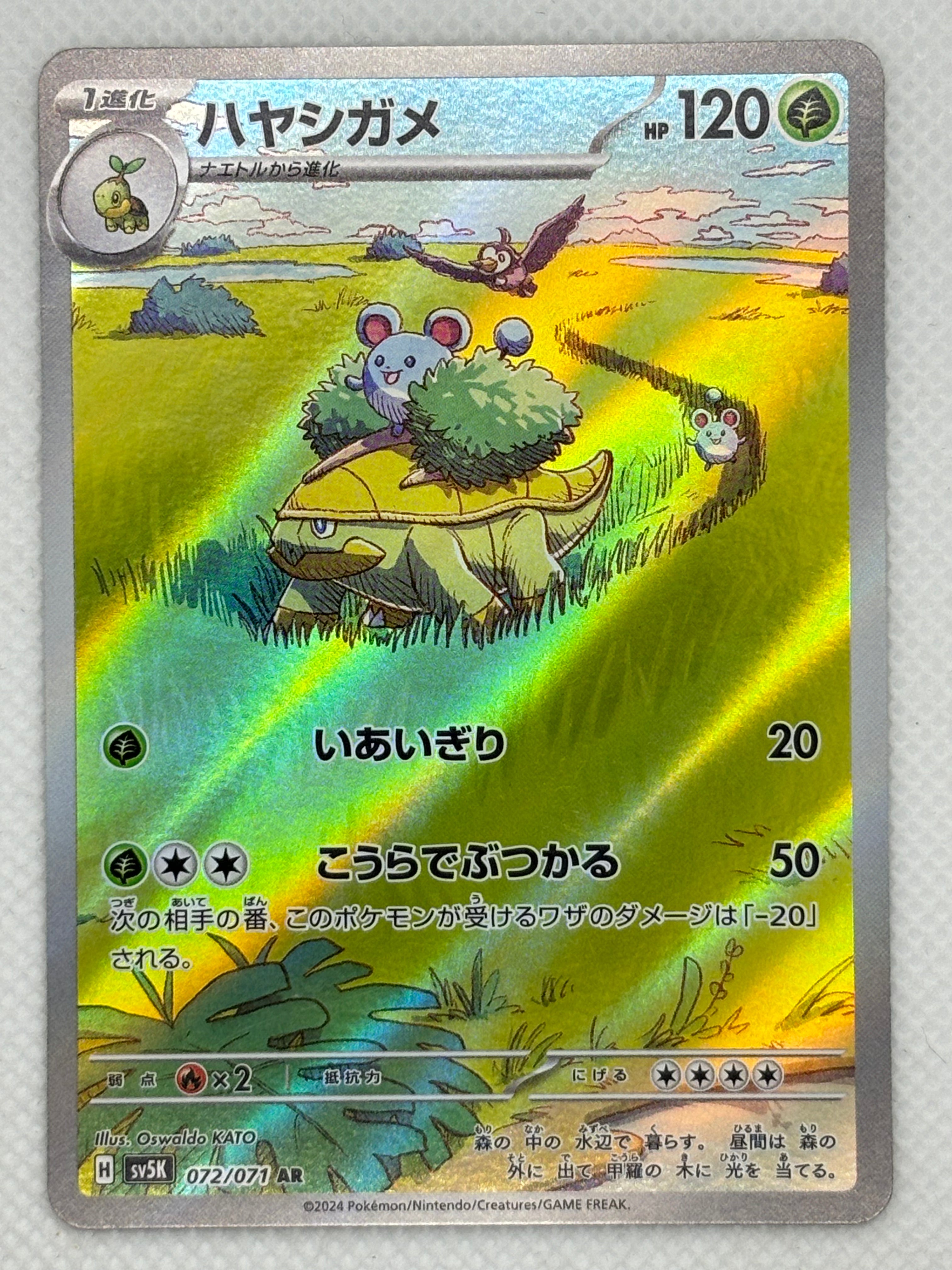 Wild Force - Rare Sv5k Pokemon Cards – Japan Pop Mart