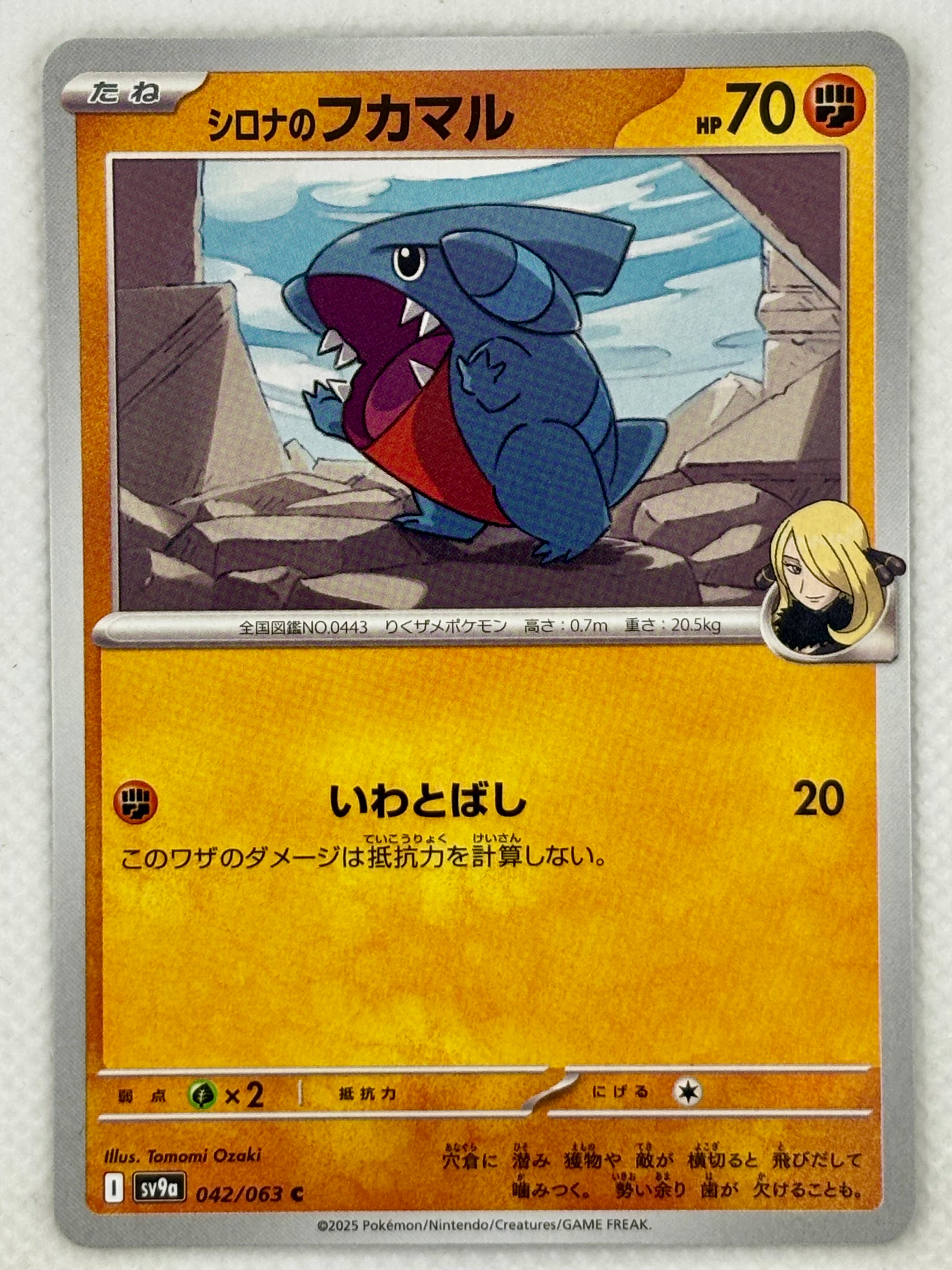 Cynthia’s Gible - Hot Air Arena | Dragon & Ground Pokémon Card – Japan ...