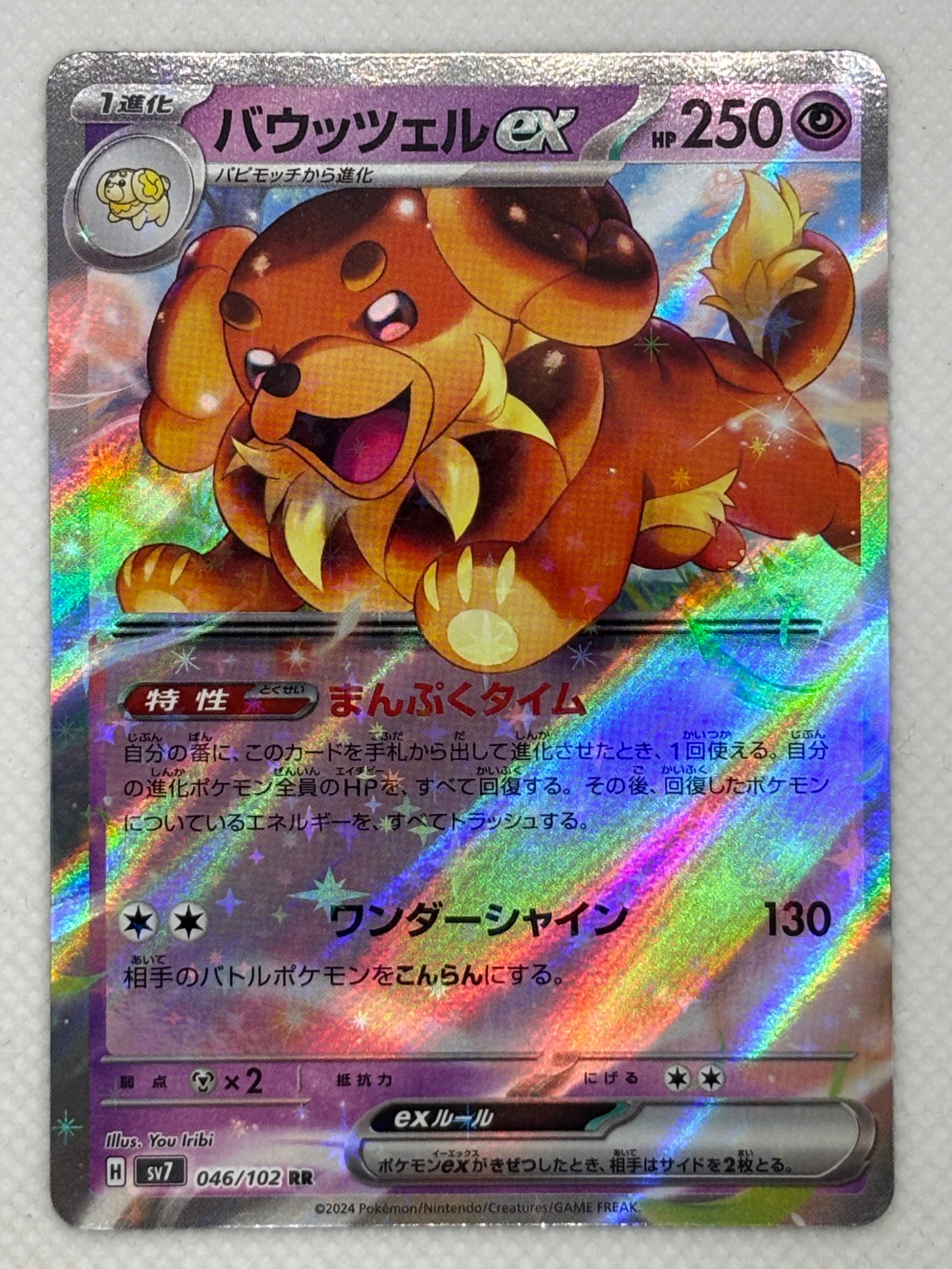 Pokémon Card Dachsbun EX - Stellar Miracle - Scarlet & Violet – Japan ...