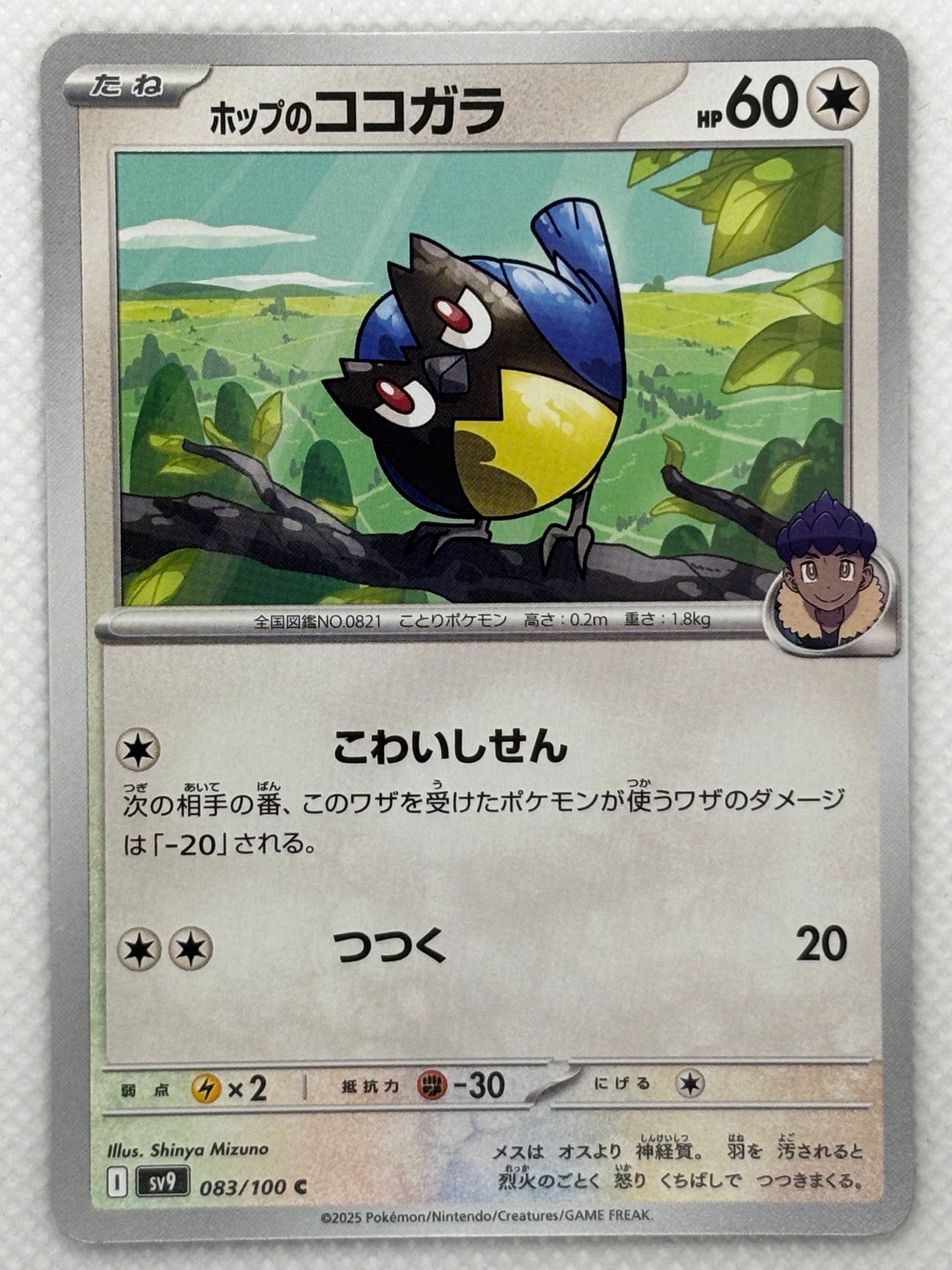 Pokémon Card Hop's Rookidee - Battle Partners - Scarlet & Violet ...