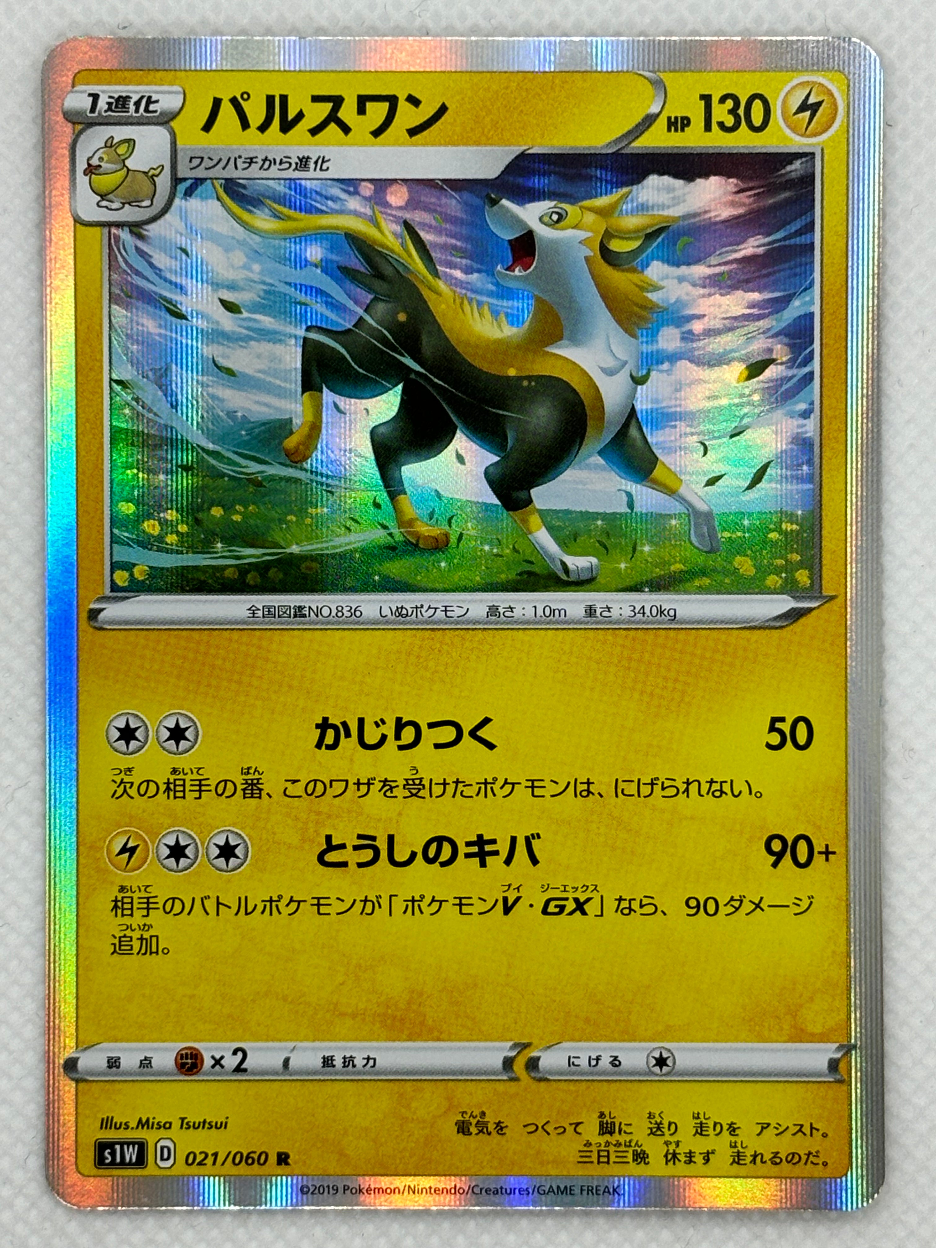 Boltund – Japan Pop Mart