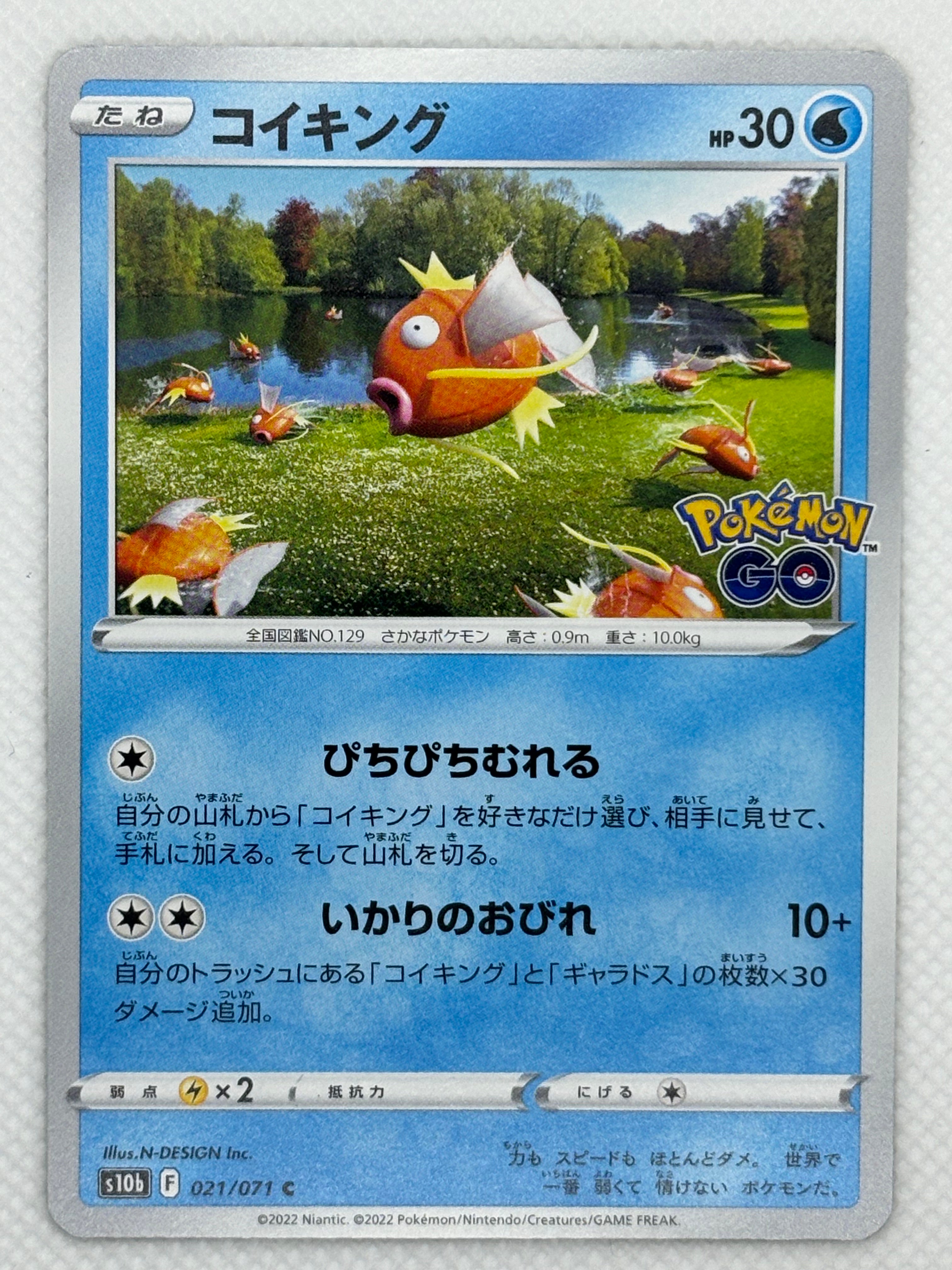 Magikarp – Japan Pop Mart
