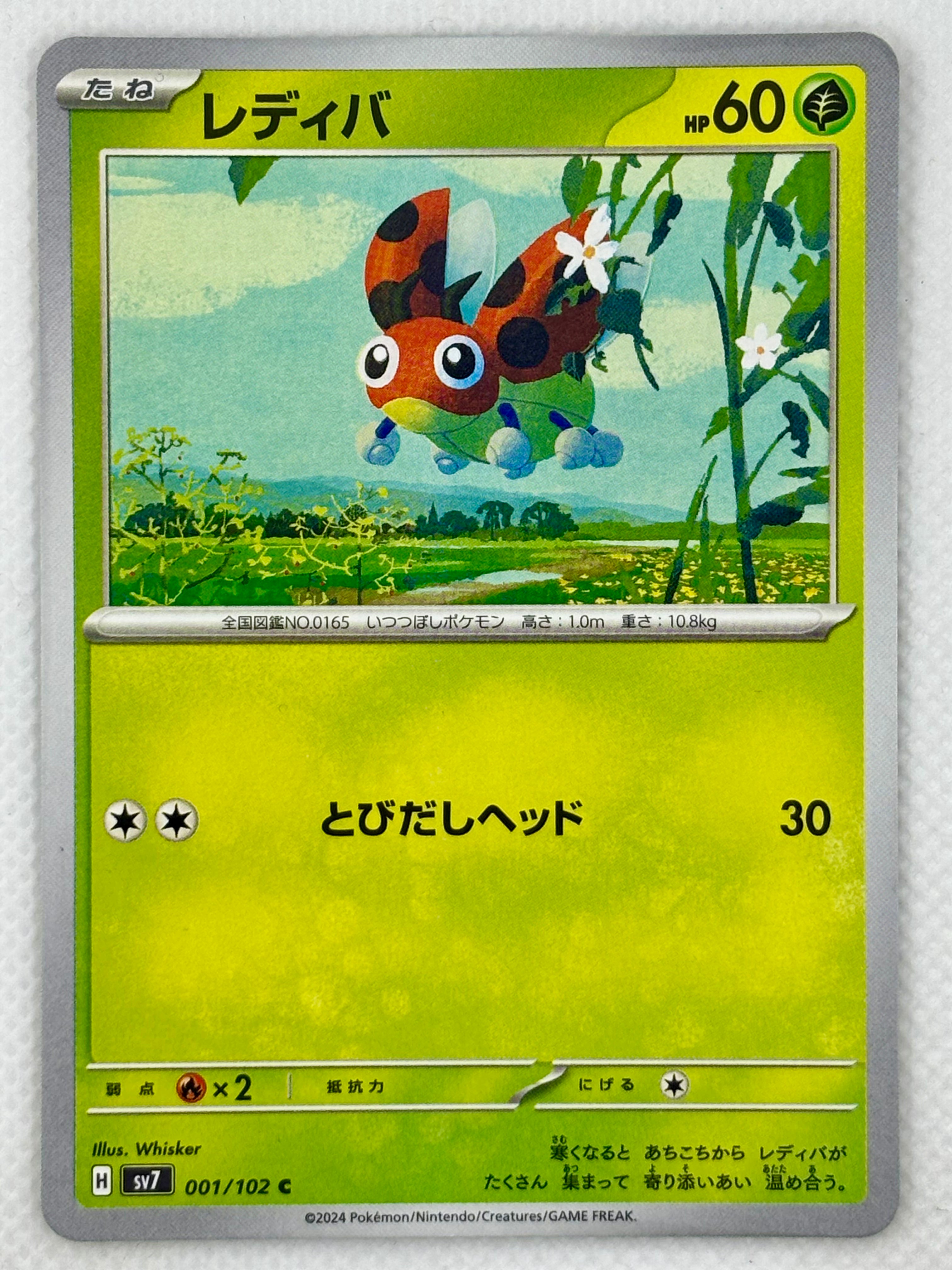 Pokémon Card Ledyba - Stellar Miracle - Scarlet & Violet – Japan Pop Mart