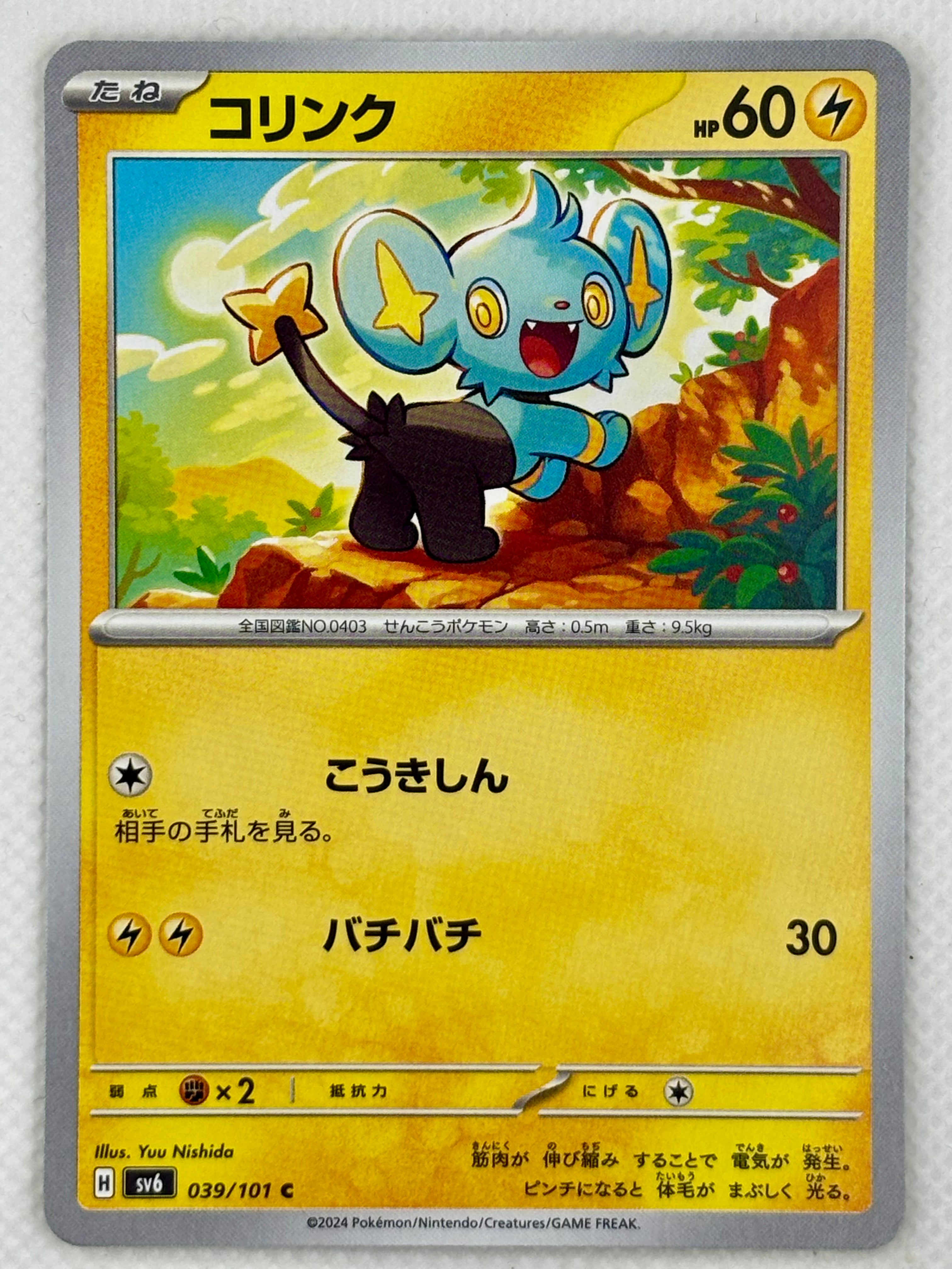 Shinx - Mask of Change | Fast & Evolving Electric Pokémon Card – Japan ...